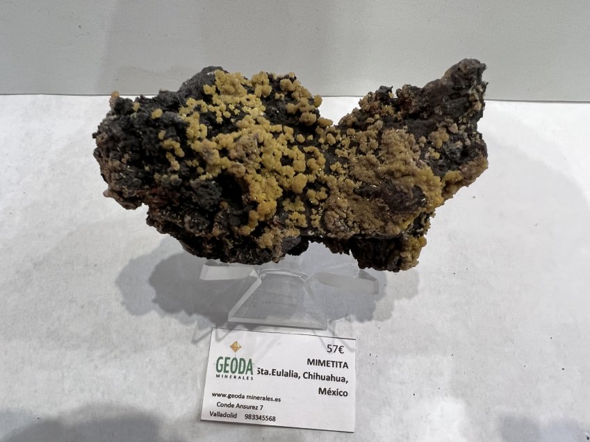 Mimetita 9 cm x 5 cm | GEODA MINERALES